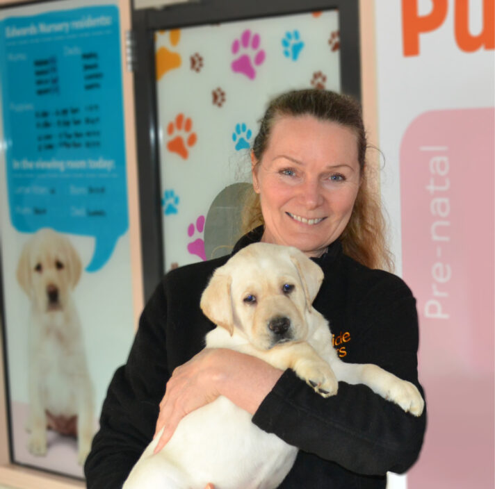 Meet our team - Guide Dogs Australia