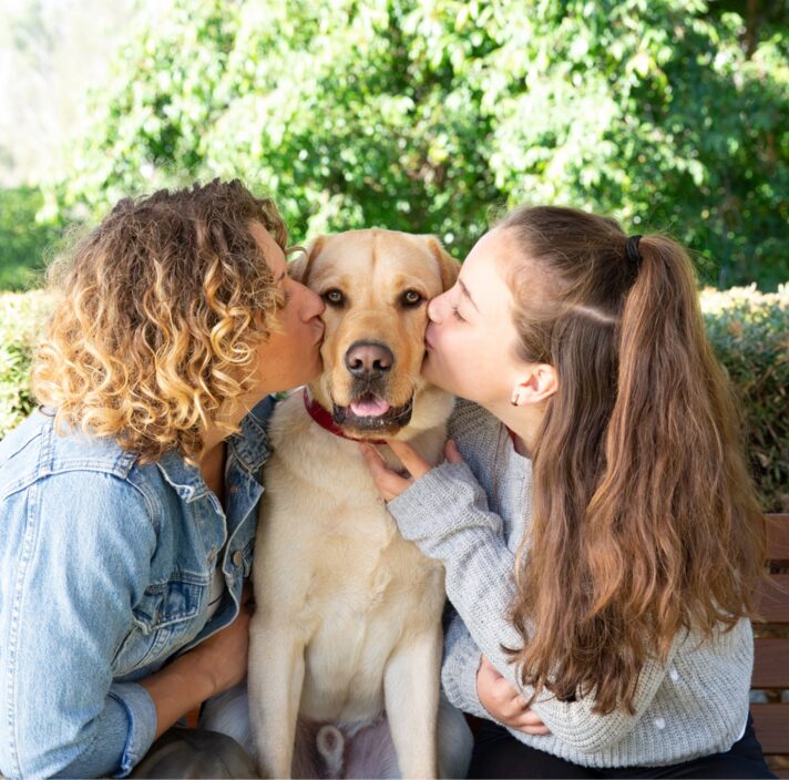 Companion Dogs - Guide Dogs Australia