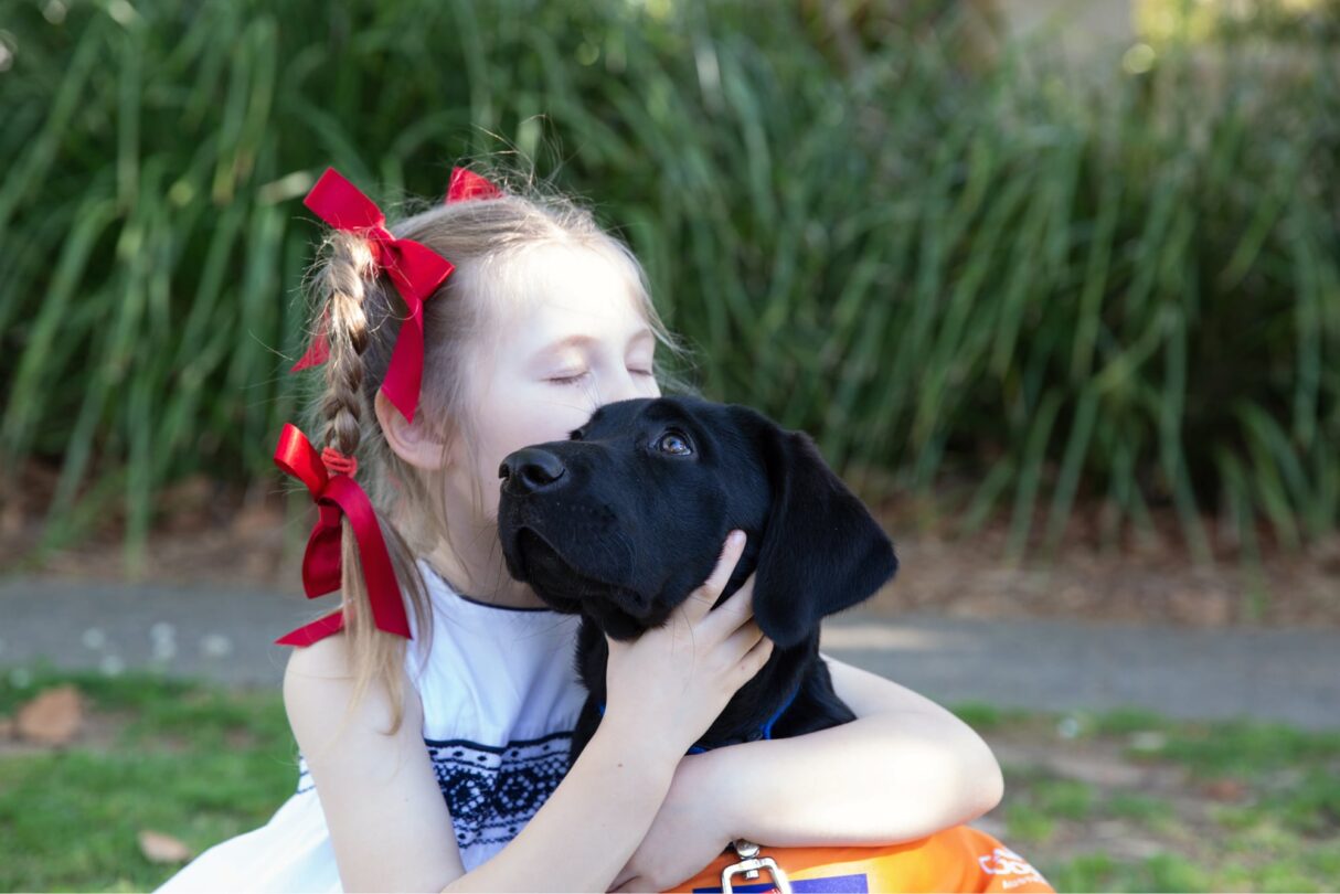 11 reasons why you should be a Puppy Raiser - Guide Dogs Australia