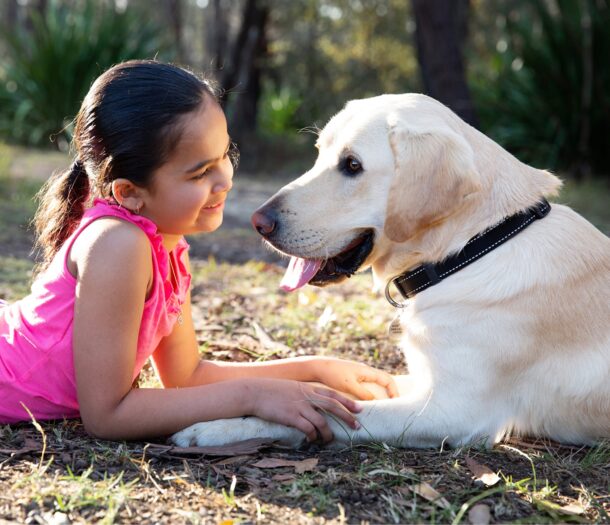 Companion Dogs - Guide Dogs Australia