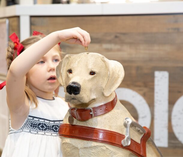 Collection Dog - Host a Collection Dog - Guide Dogs Victoria