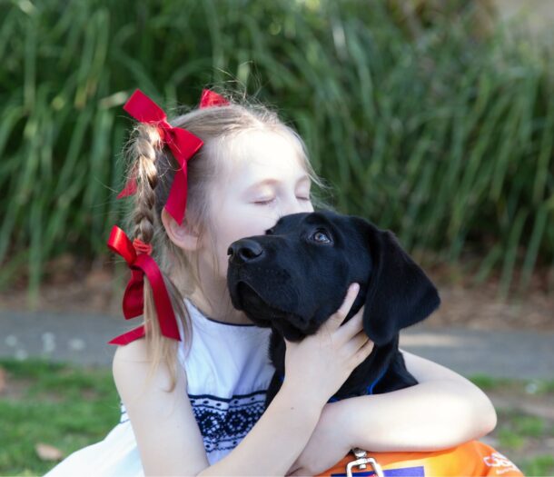 Become a Guide Dog Partner - Guide Dogs Victoria