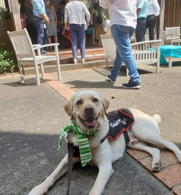 Guide Dog Tales Spring 2022 - Guide Dogs Victoria