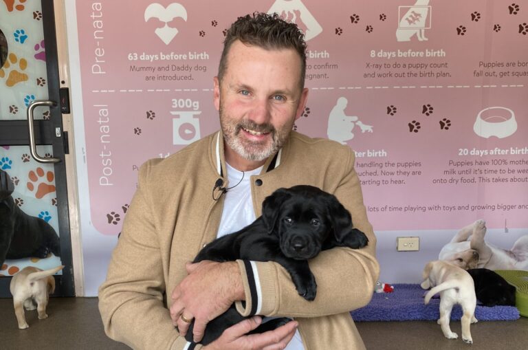 Guide Dogs names litter of puppies after Neighbours characters ...