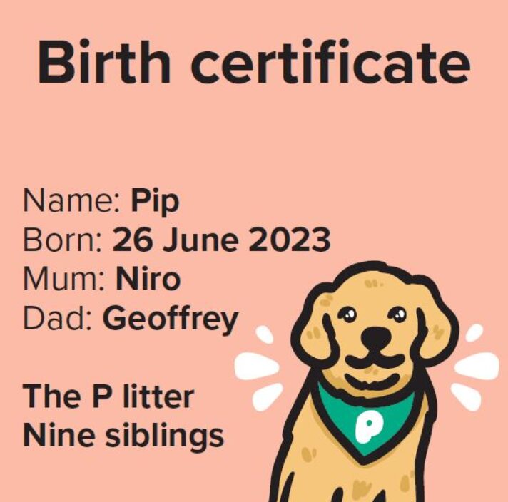 Guide Dog Tales Spring 2023 - Guide Dogs Victoria