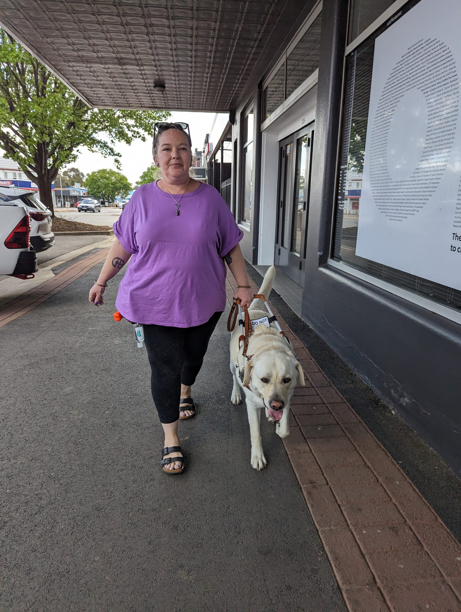 Xmas Campaign - Guide Dogs Victoria
