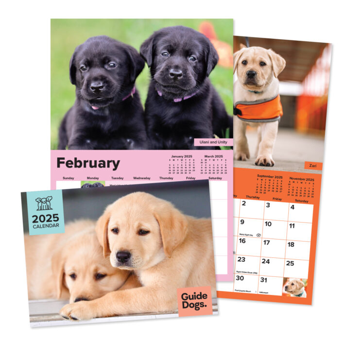 Guide Dog Tales Spring 2024 - Guide Dogs Victoria