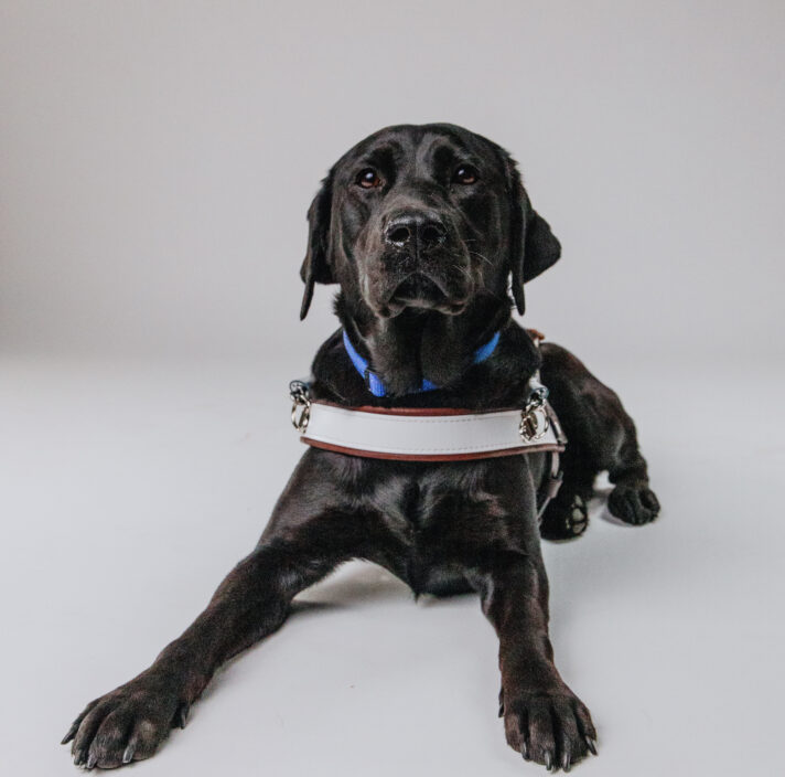 International Guide Dog Day 2025 - Guide Dogs Victoria