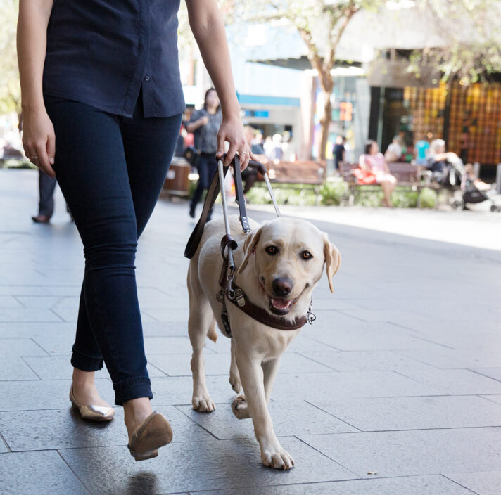 Guide Dogs - Guide Dogs NSW/ACT