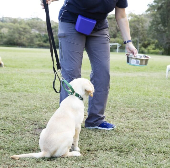 Guide Dogs Centre - Guide Dogs NSW/ACT