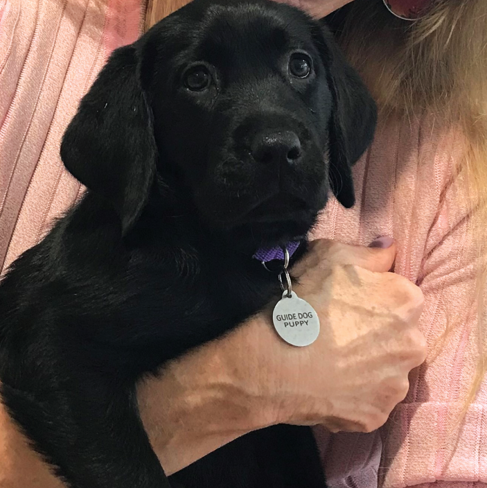 Guide Dog Tales Winter 2022 - Guide Dogs NSW/ACT