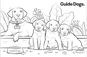 Activity Pages - Guide Dogs NSW/ACT