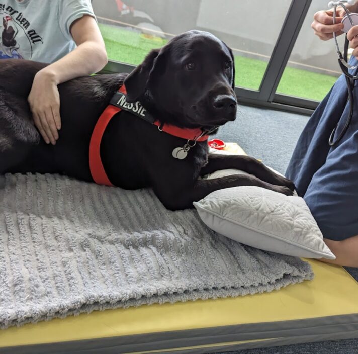 Guide Dog Tales Winter 2023 - Guide Dogs NSW/ACT