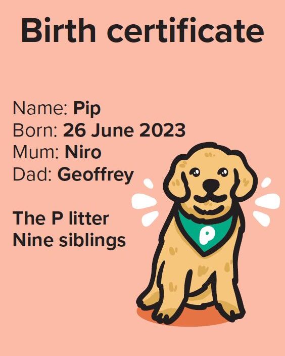 Guide Dog Tales Spring 2023 - Guide Dogs NSW/ACT