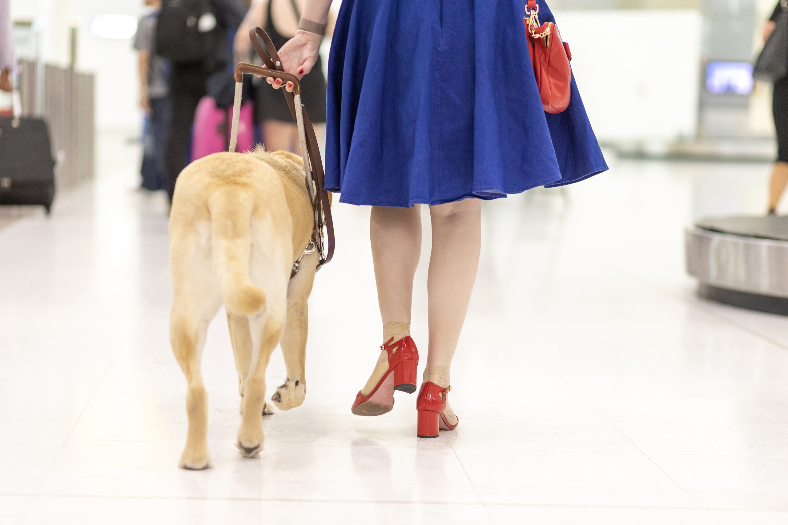 Accessible Airports - Guide Dogs NSW/ACT