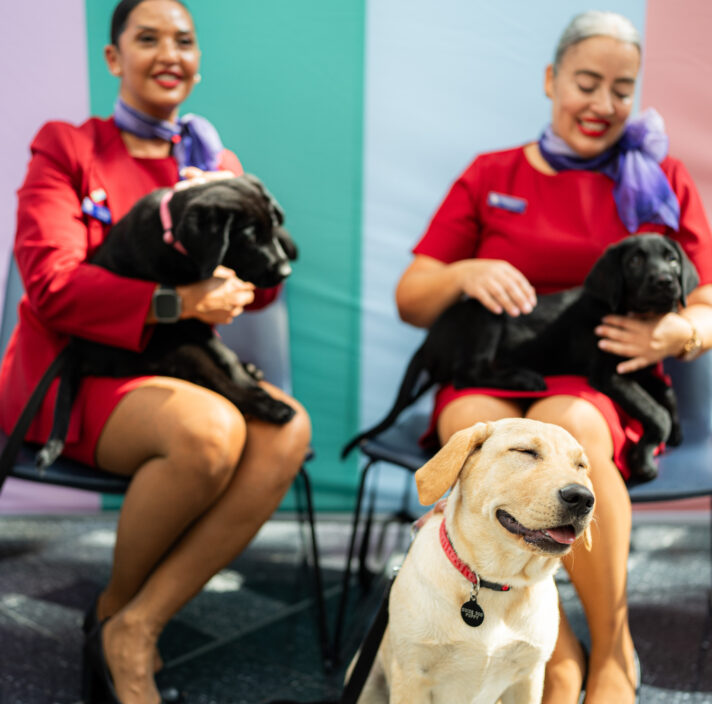 Guide Dog Tales Autumn 2024 - Guide Dogs NSW/ACT