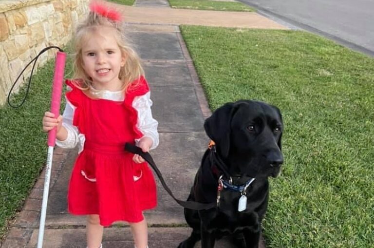 Meet Ivy and Sheryl Lyn - Guide Dogs NSW/ACT