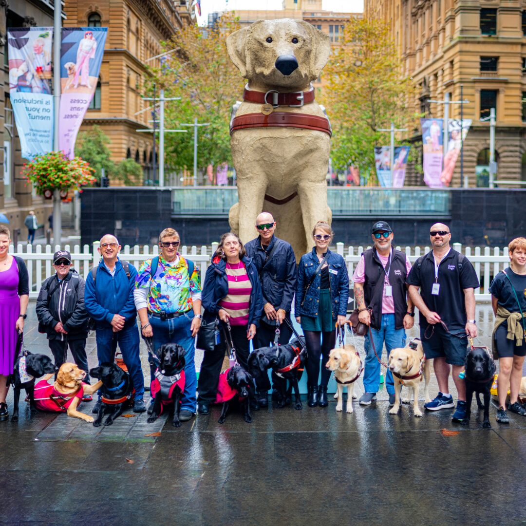 International Guide Dog Day 2025 - Guide Dogs NSW/ACT