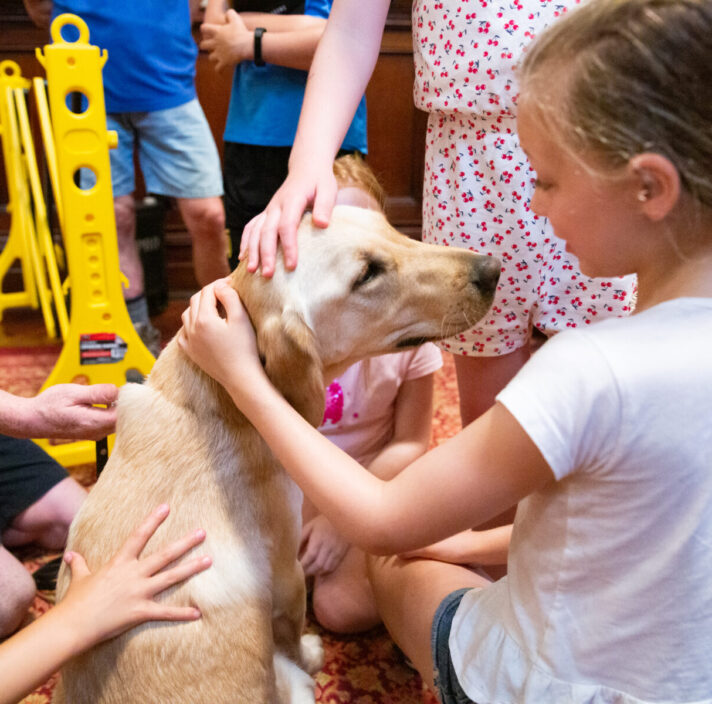 School Support Dogs - Guide Dogs NSW/ACT