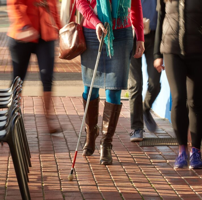 Visual Inattention Guide Dogs SA NT