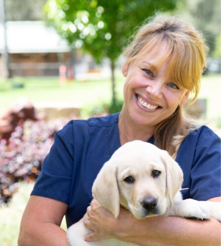 Guide Dogs SA/NT