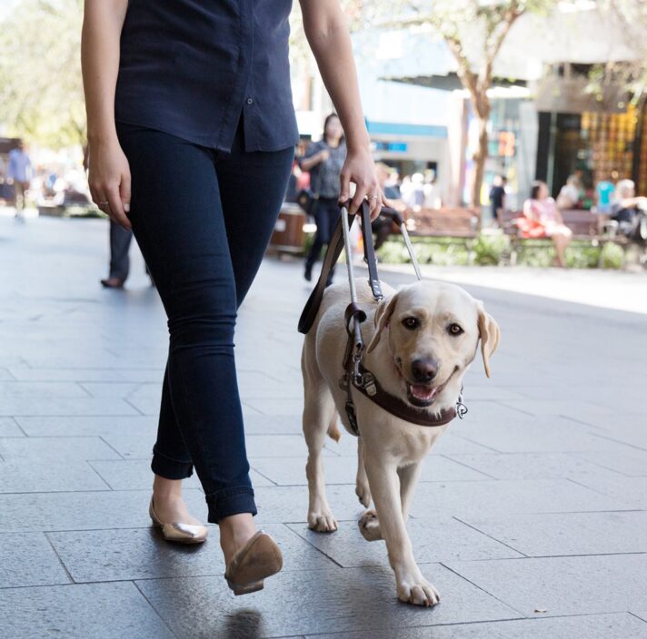 Our Dogs - Guide Dogs SA/NT