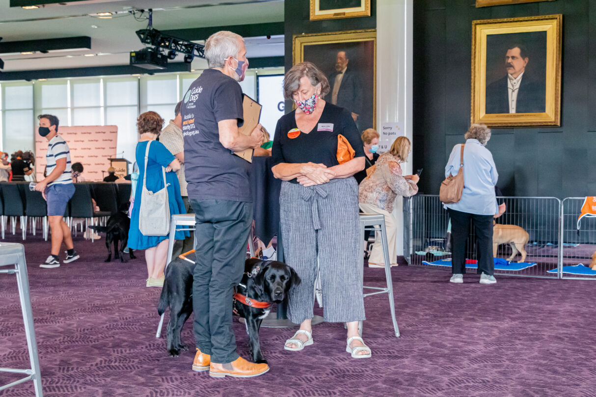 2022 Puppy Graduation! - Guide Dogs SA/NT