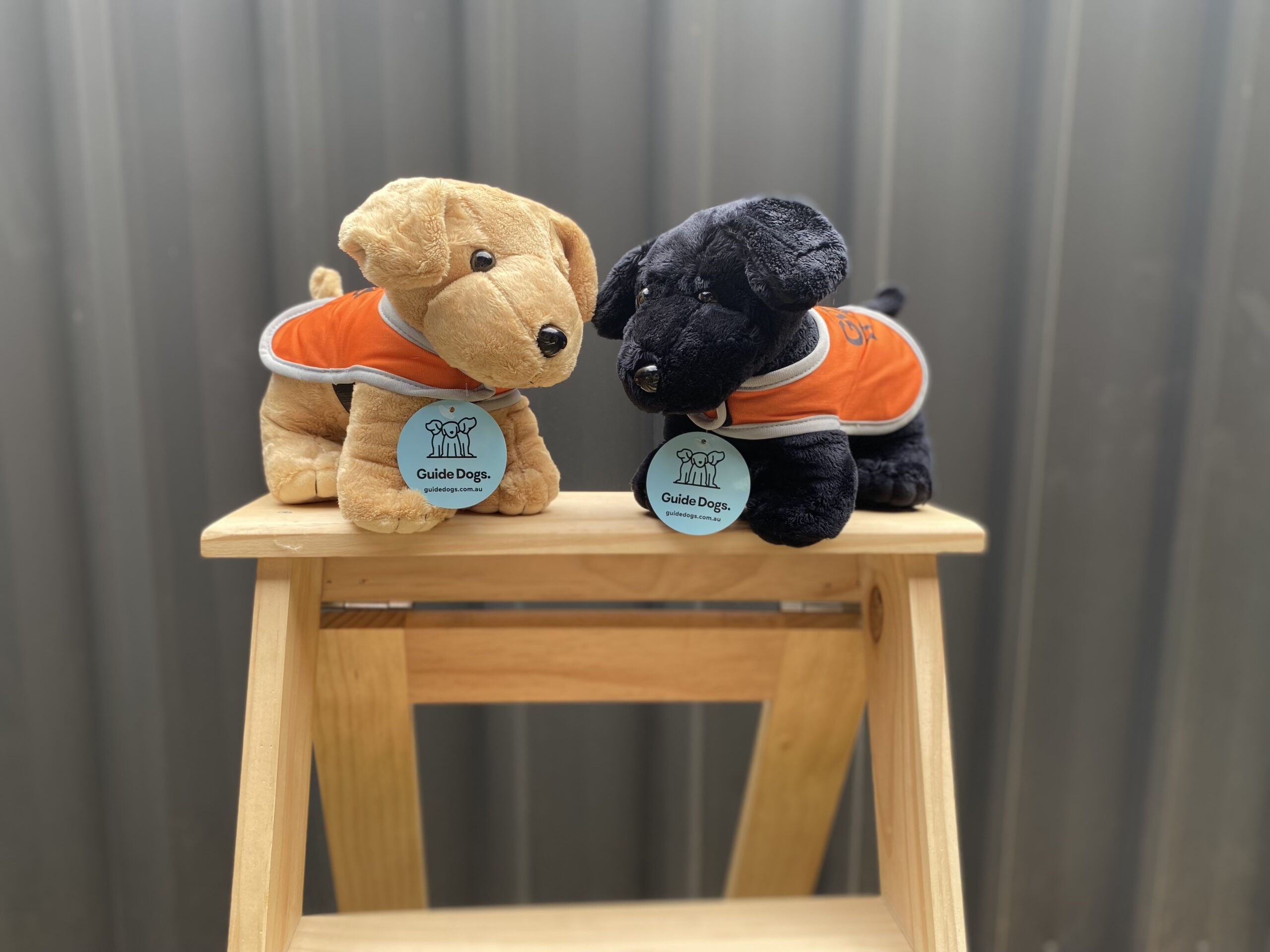 Plush Dog - Standing - Guide Dogs SA/NT