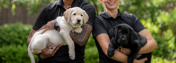 Frequently asked questions - Guide Dogs SA/NT