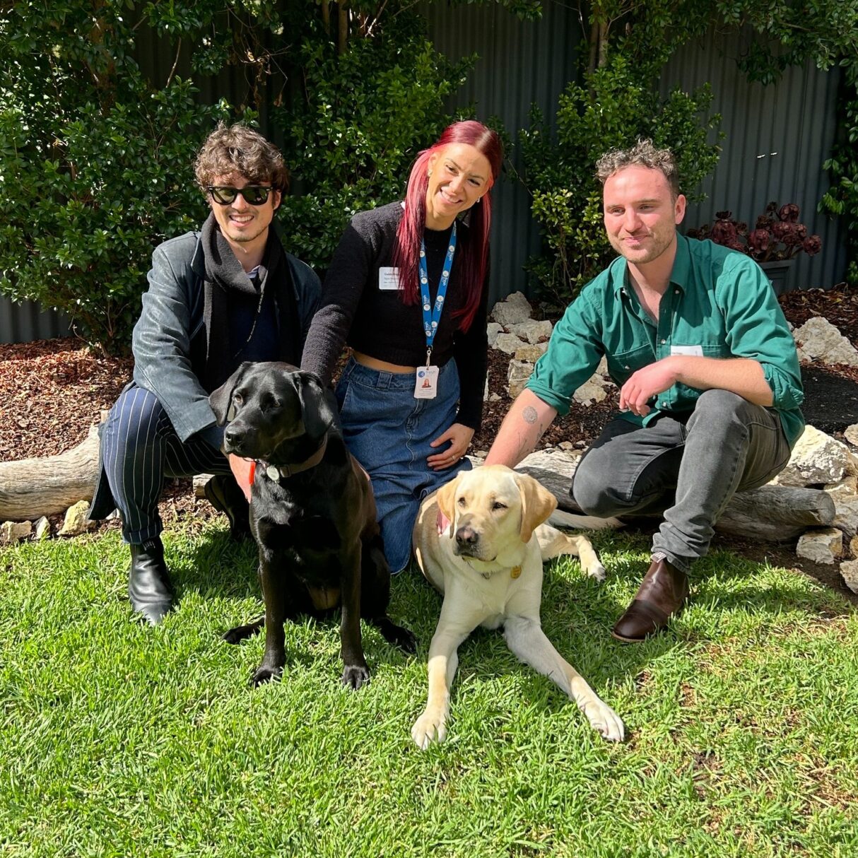 Guide Dogs Day 2024 is TODAY! - Guide Dogs SA/NT