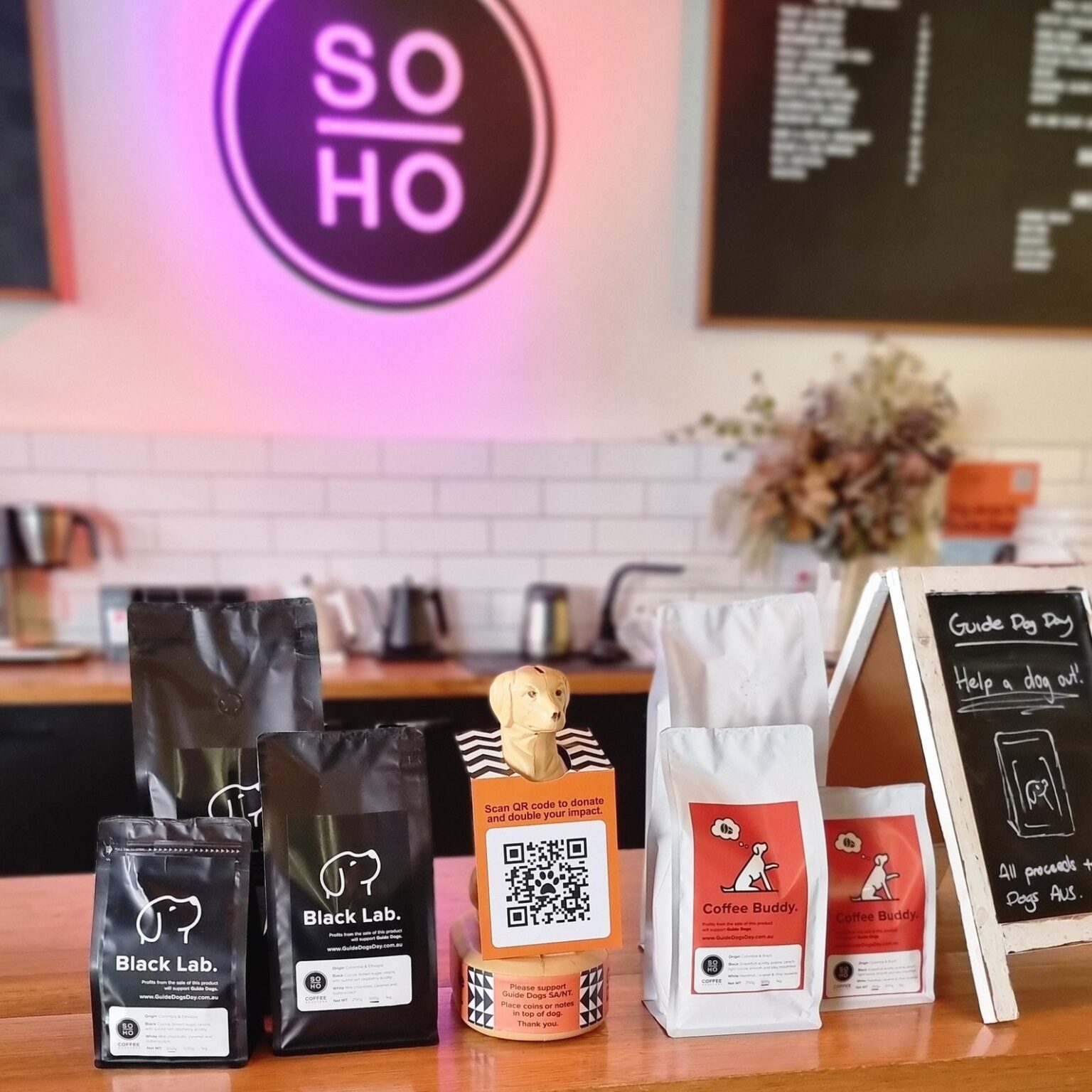 Guide Dogs Day 2024 is TODAY! - Guide Dogs SA/NT