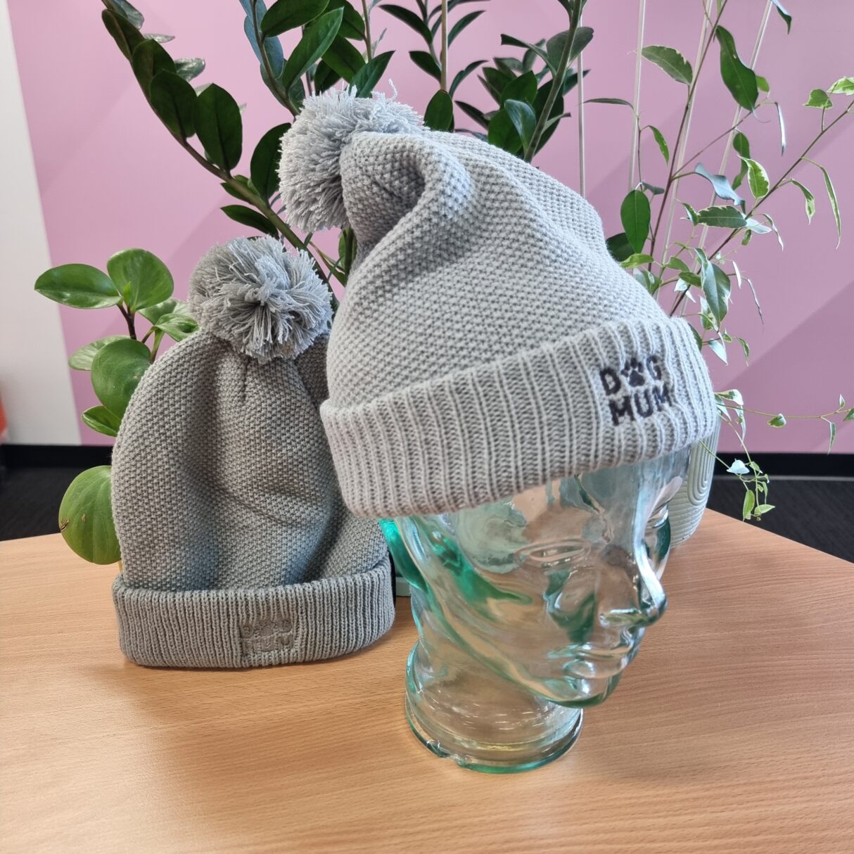 All Products Archives - Guide Dogs SA/NT