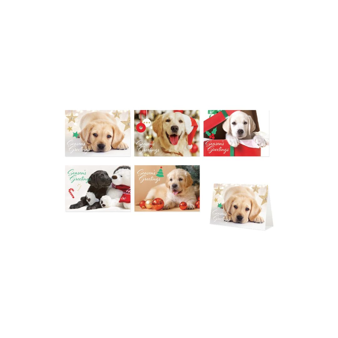 All Products Archives - Guide Dogs SA/NT