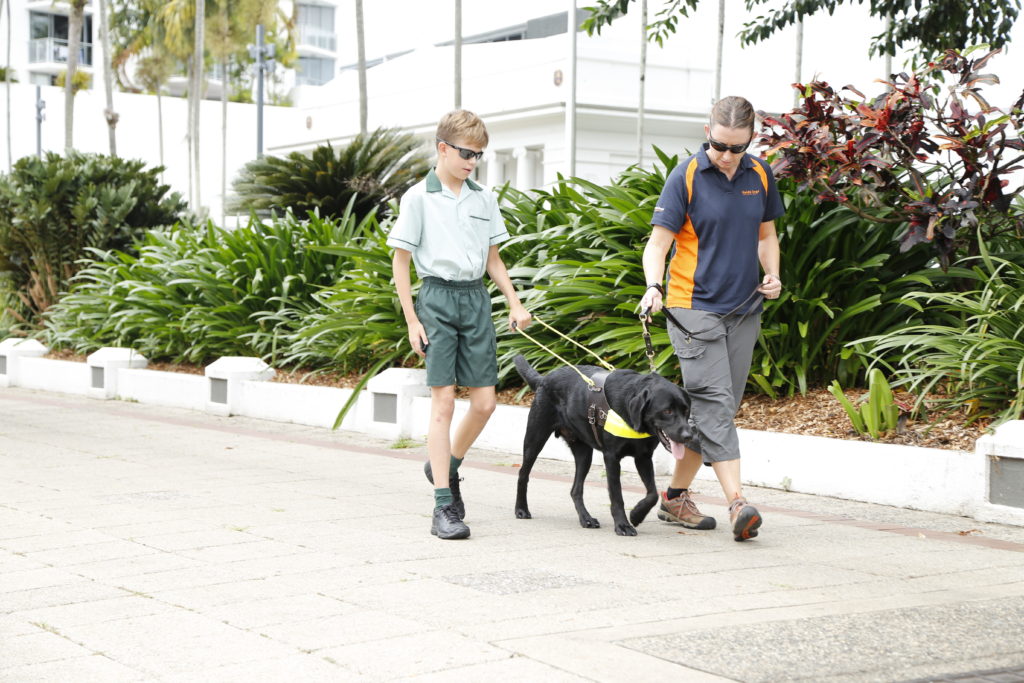 First steps with a Guide Dog - Guide Dogs Queensland