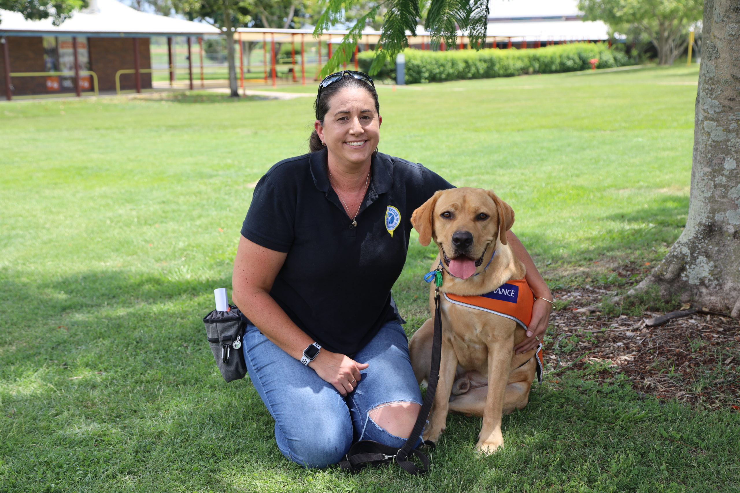 An office packed full of support - Guide Dogs Queensland