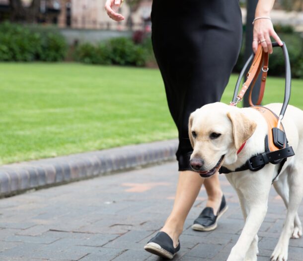 2021 Constitution - Guide Dogs Queensland