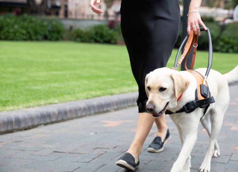 Move with confidence - Guide Dogs Queensland