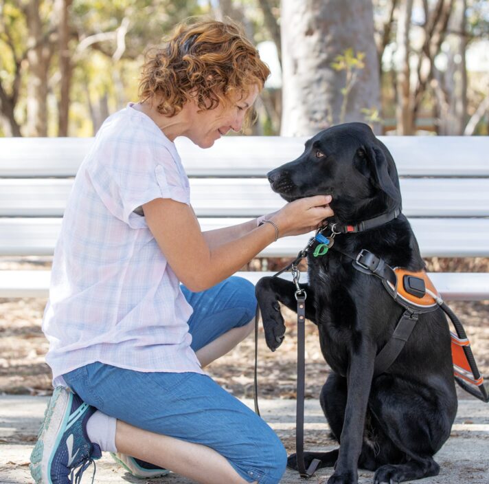 Christmas Appeal - Guide Dogs Queensland