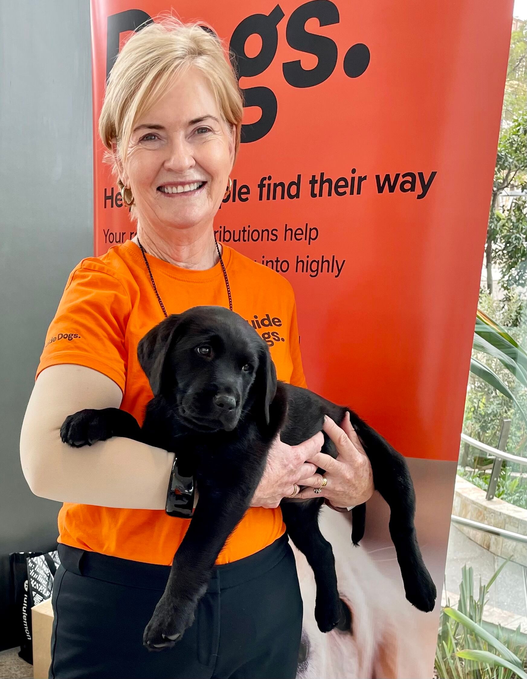 Meet Shelley! - Guide Dogs Queensland