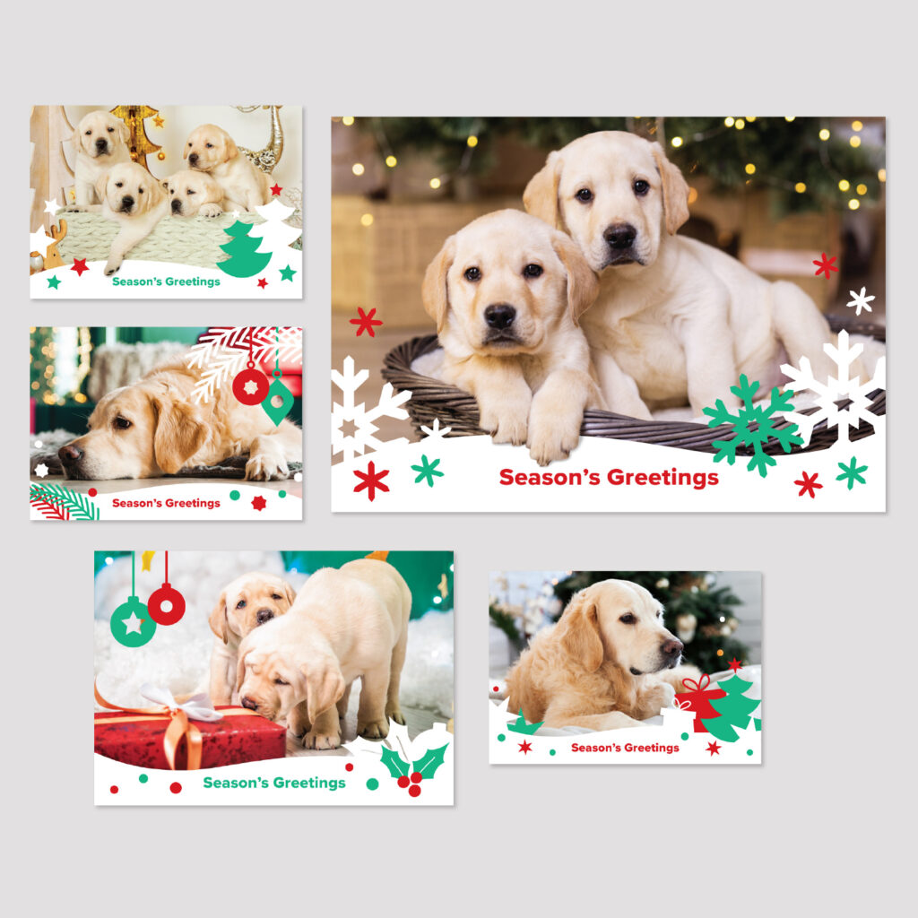 All Products Archives - Guide Dogs Queensland