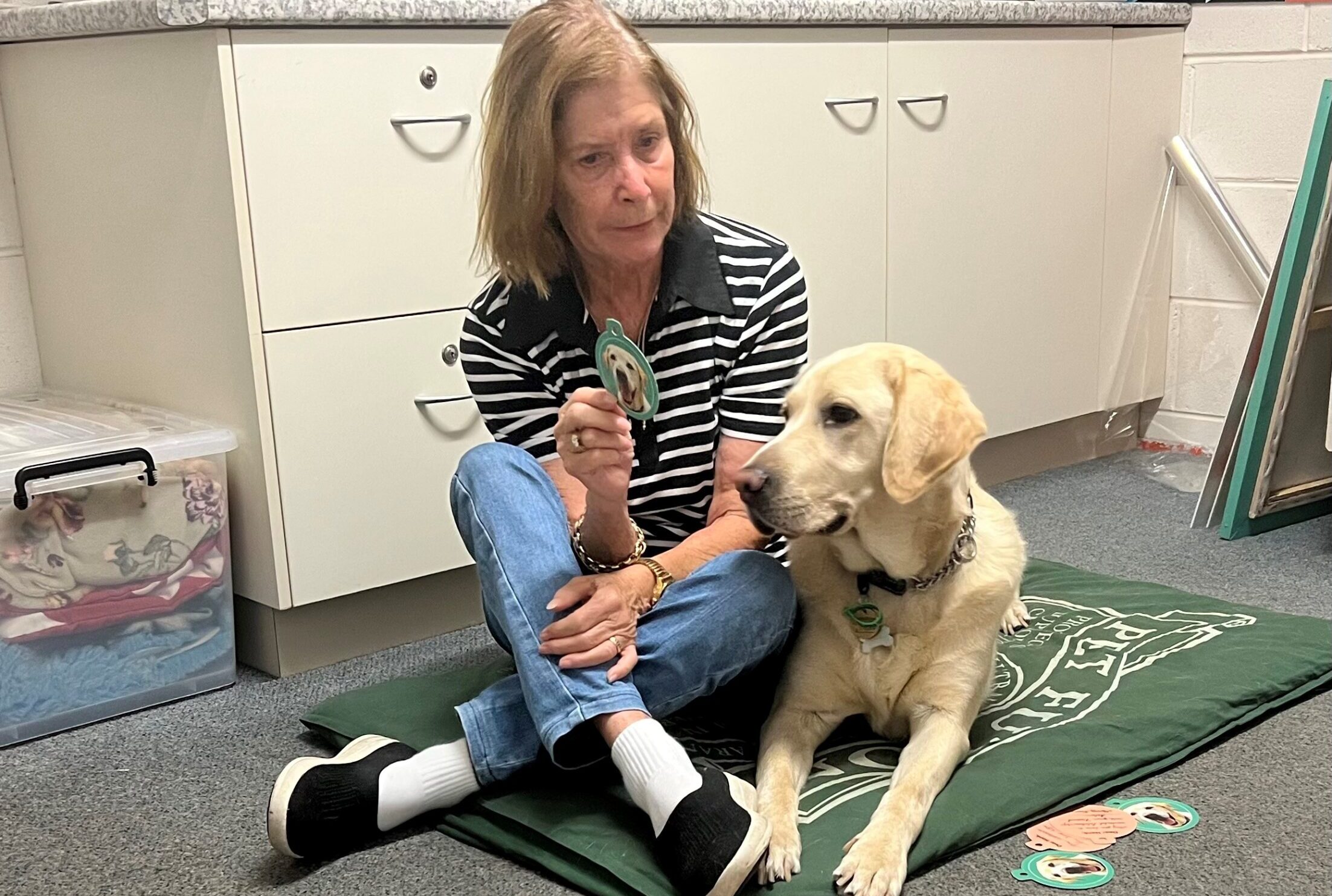 Your thanks to Hank and a sparkling future for Sparky - Guide Dogs ...