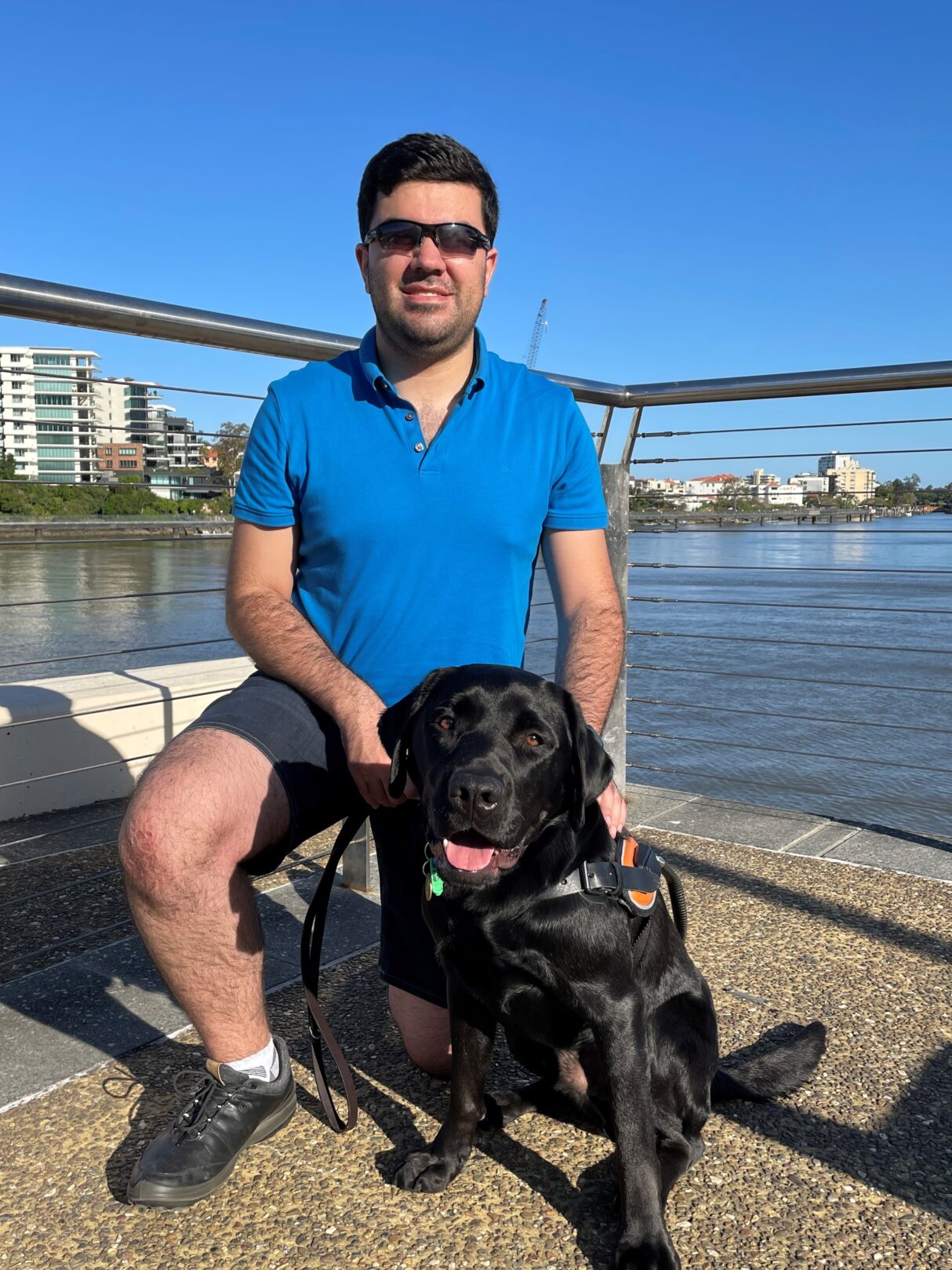 What do robots and dogs have in common? - Guide Dogs Queensland